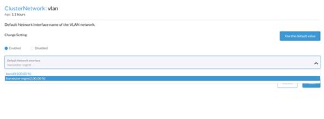 Bug Vm Pods Turn To The Terminating State After Switching The Vlan Interface · Issue 1464