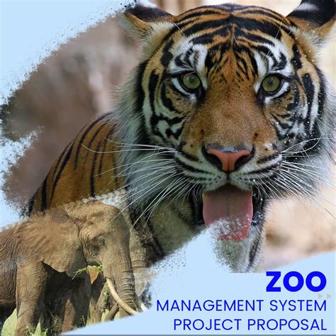Zoo Management System Project Proposal