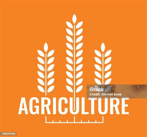 Logo Pertanian Dan Spike Konsep Pertanian Dan Gandum Ilustrasi Stok