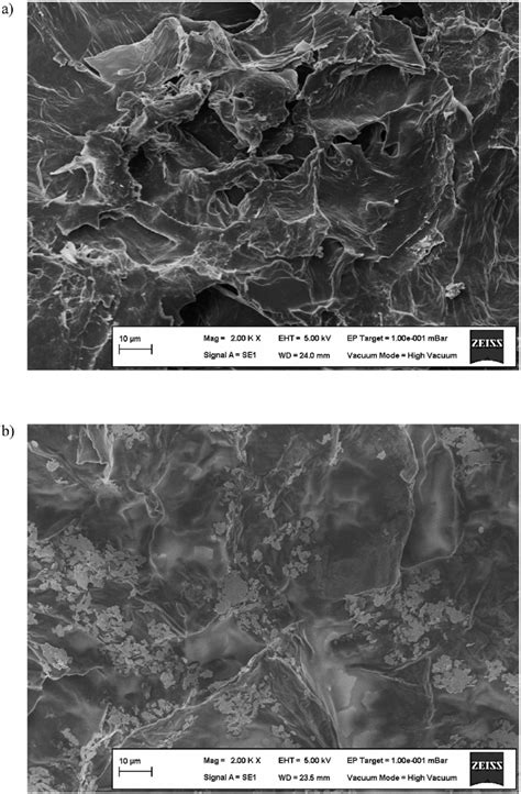 Sem Image Of Biosorbent A And Synthetic Dye Contaminant Loaded