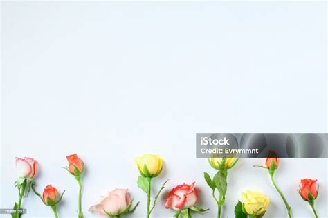 텍스트에 대한 복사 공간이 많은 다양한 꽃으로 만든 여성 프레임 배경 닫기 상단보기 평평한 누워 0명에 대한 스톡 사진 및 기타 이미지 Istock