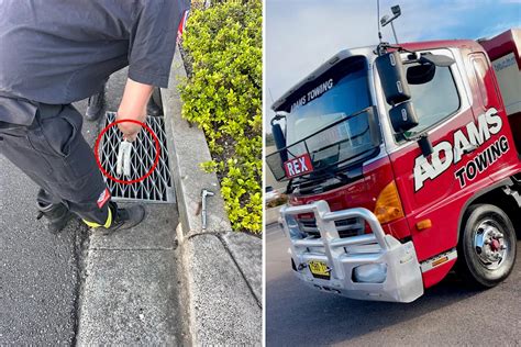 Truck Drivers Incredible Act After Worrying Roadside Find Very