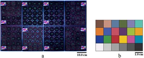 Green Cloth Ground Truth Dataset Image Sample A The Phenotyping