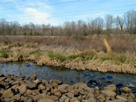Elevation Of Stem Nc Usa Topographic Map Altitude Map