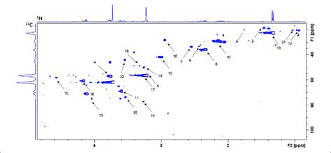 Example Of 2d 1 H 13 C Hsqc Spectrum Of Mda Mb 231 Cells Exposed To Download Scientific