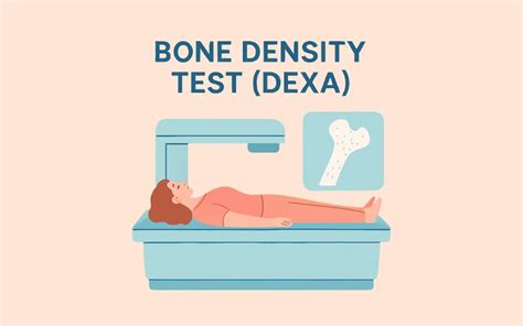 Bone Density Test Dexa Diagnosis And Results