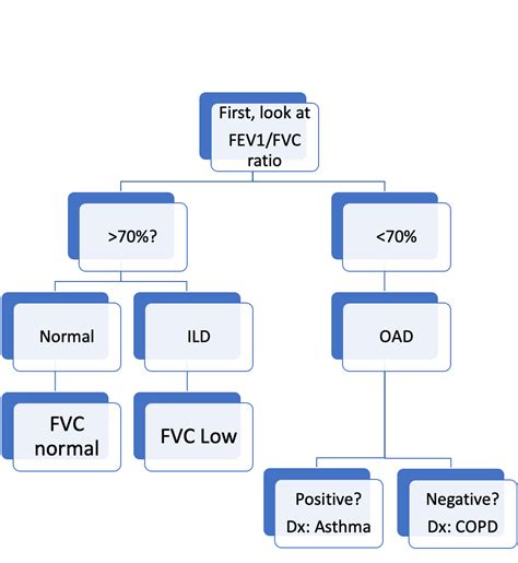 Basic Spirometry Medical Education Tutor