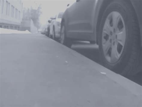 Ground Segmentation Instance Segmentation Dataset And Pre Trained Model