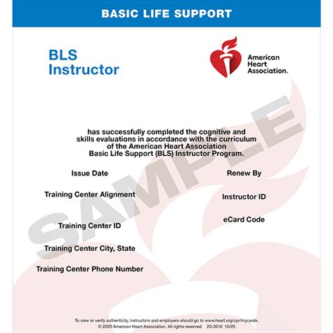 Bls Instructor Bls Training Centers