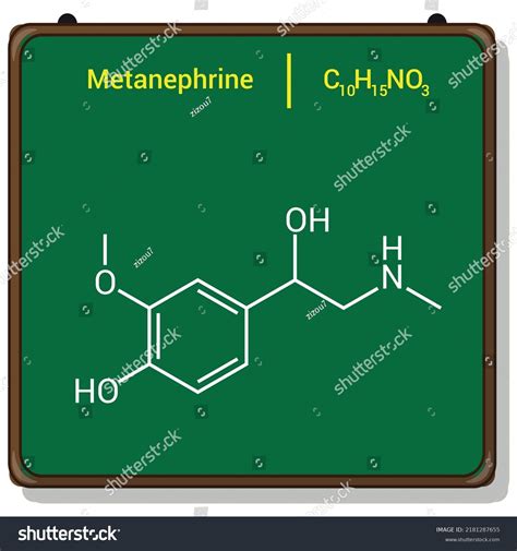 Chemical Structure Metanephrine C10h15no3 Stock Vector Royalty Free 2181287655 Shutterstock