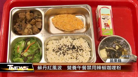 蘇丹紅風波 營養午餐禁用辣椒咖哩粉│t News聯播網 Youtube
