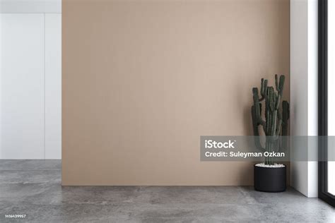 베이지 색과 흰색 배경 콘크리트 바닥 태양 광선 아늑한 집 실내 식물이있는 미니멀리스트 빈 룸 3차원 형태에 대한 스톡 사진 및 기타 이미지 Istock