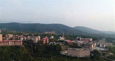 Upes Result 2023 Check Exam Results