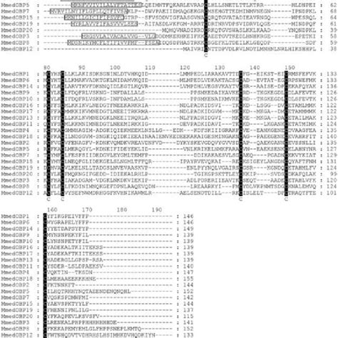 Sequence Alignment Of All Identified Obps And Csps In M Mediator A