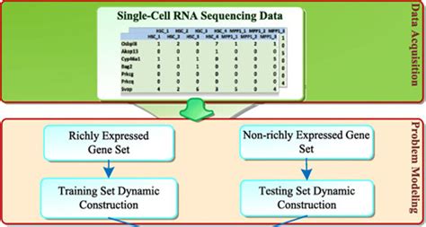 Misc Missing Imputation For Single Cell Rna Sequencing Data Rna Seq