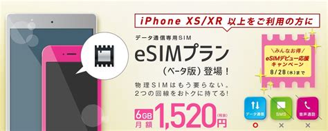 Iij、国内初のesim対応データ通信サービス 6gbで月額1520円 18日から Itmedia News