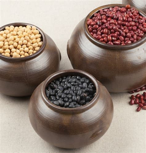 온유네 국산 지리산 무농약 서리태 검은콩 속청 백태 노란콩 메주콩 쥐눈이콩 약콩 서목태 팥 적두 티몬