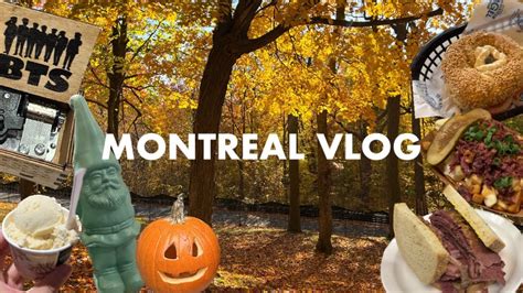 🇨🇦 캐나다 몬트리올 혼자 여행 몬트리올 시내가 한 눈에 보이는 곳 꼭 가야 함 단풍 구경 명소 몬트리올 맛집 몬트리올 카페 추천 Youtube
