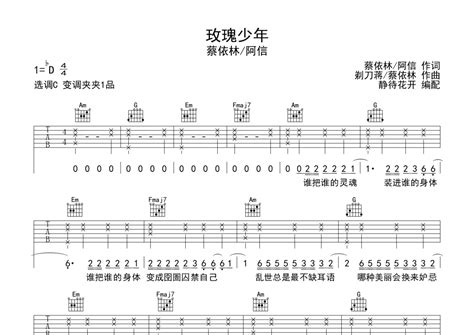 玫瑰少年吉他谱 蔡依林阿信 C调吉他弹唱谱 琴谱网