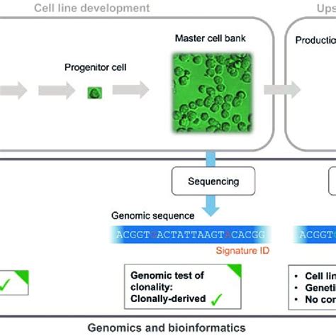 High Throughput Dna Sequencing And Big Data Analytics Can Provide