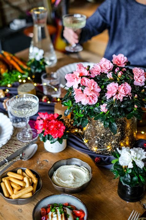 Decorate Il Vostro Tavolo Con Lazalea Di Gand Azalea Di Gand