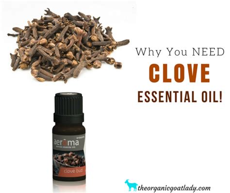 Are There Really Antiviral Essential Oils The Organic Goat Lady