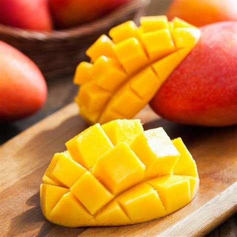 [후레쉬망고] 필리핀 애플망고 5kg 5 7과 특왕사이즈 홈플러스 택배배송