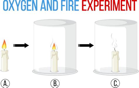 Candle Experiment Vector Art Icons And Graphics For Free Download