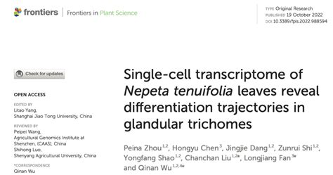 项目文章丨国内首篇中草药植物的单细胞转录组测序文章！ 知乎