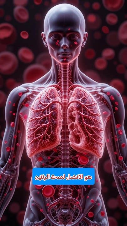 نصائح غذائية صحية سليمة Youtube