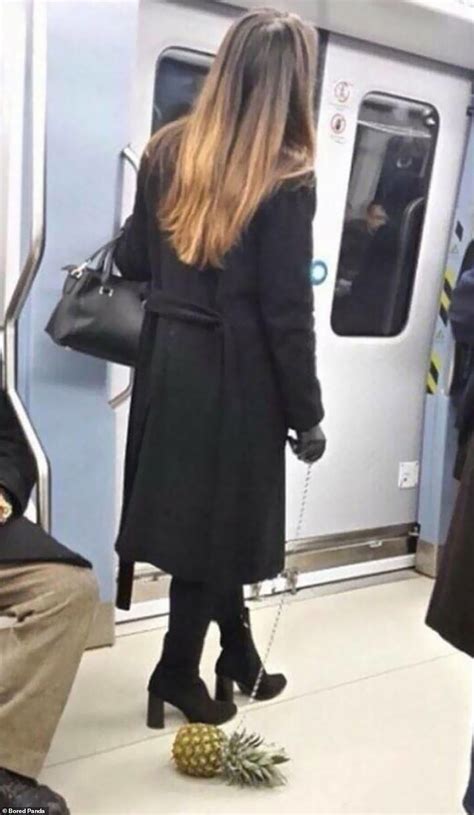 People Reveal Their Oddest Encounters On Public Transport Daily Mail