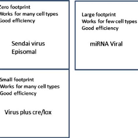 Classi Fi Cation Of Reprogramming Methods By Footprint Validation That