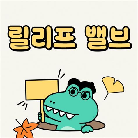 릴리프 밸브의 뜻과 구조 역할 교체 방법 그리고 사용 방법 네이버 블로그