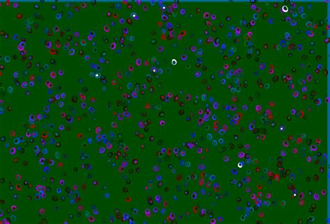 Light Multicolor Rainbow Vector Texture With Disks 5329673 Vector Art At Vecteezy