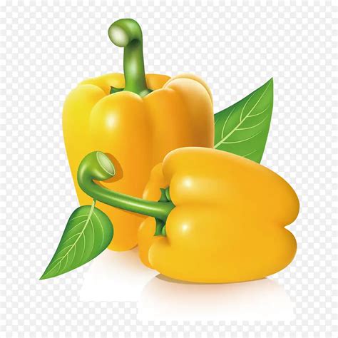 Png Png