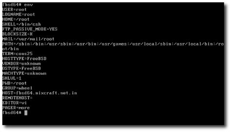 Unix Set Environment Variable Nixcraft