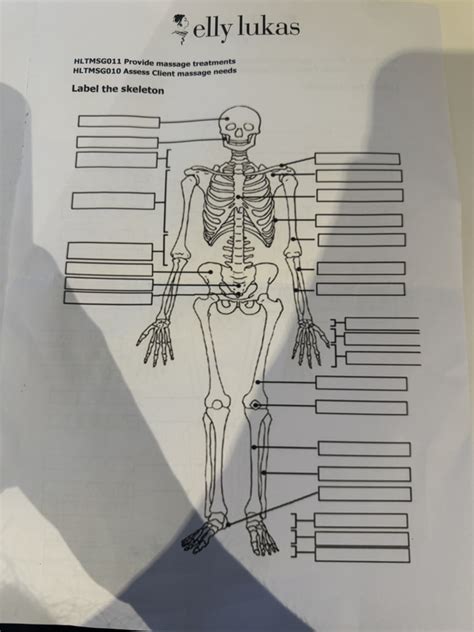 Diagram Of Label Skelton Quizlet