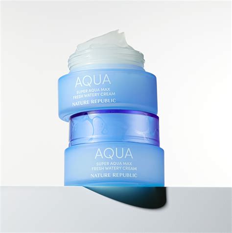 슈퍼 아쿠아 맥스 프레시 수분크림 지성용 에이블리