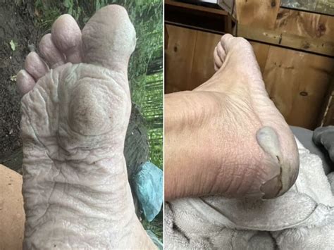 Stephanie Daily Feet