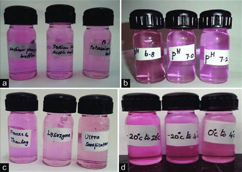 A Optimization Of Phycoerythrin Production Using Different Buffers