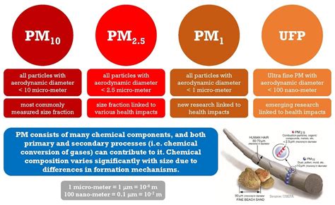 A Cool Guide To Common Particulate Matter Pm Sizes Rcoolguides