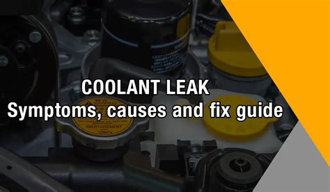 Coolant Leak Symptoms Causes And Fix Guide Gmund Cars