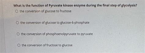 What Is The Function Of Pyruvate Kinase Enzyme During