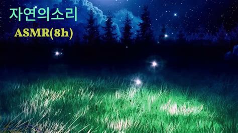 Asmr 풀벌레소리 8시간 L 조용한 음악소리와 함께한 밤소리 L 수면유도 백색소음 L 잠 잘때 듣는 L 꿀잠 L Night Ambience Nature Crickets