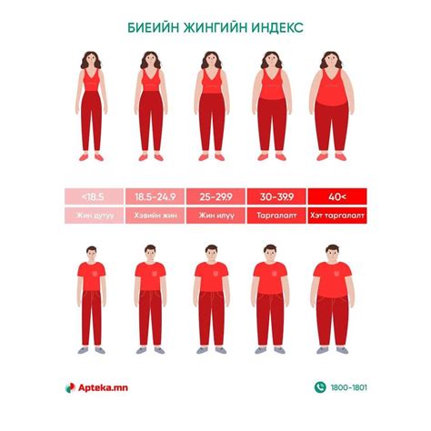 Биеийн жингийн индекс хэрхэн Амьдралын Захидал