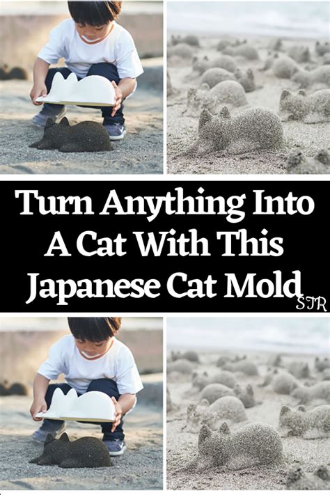 Turn Anything Into A Cat With This Japanese Cat Mold Artofit
