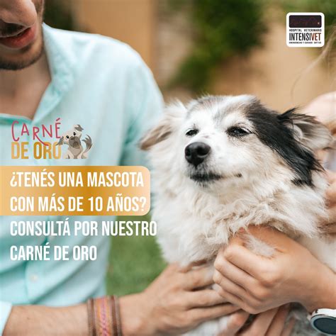 Consultá Por El Carné De Oro Para Tu Hospital Intensivet
