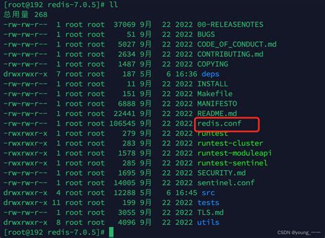 Linux上redis安装使用linux Redis Csdn博客