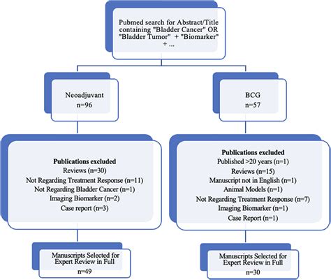 Diagram Of Search Results And Inclusion Criteria Download Scientific Diagram