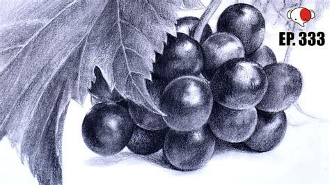 วิธีวาดองุ่น แรเงายังไงให้สวย ครูช้างสอนวาด ตอนที่ 333 Youtube